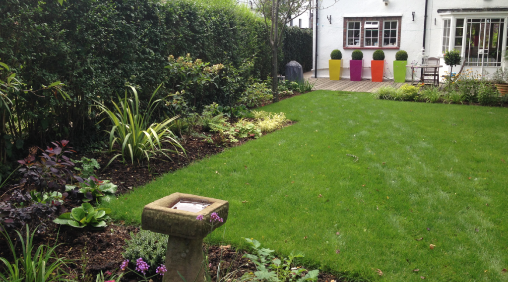 Newly planted rectangular borders in Hampstead Garden Suburb - Amanda ...